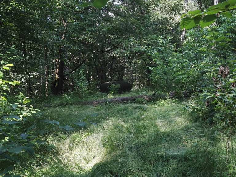 Bunkier nr 44 z bardzo mroczną historią - Cycle Routes and Map | Komoot