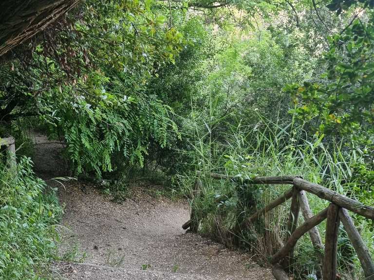 Monte Mario - Routes for Walking and Hiking | Komoot