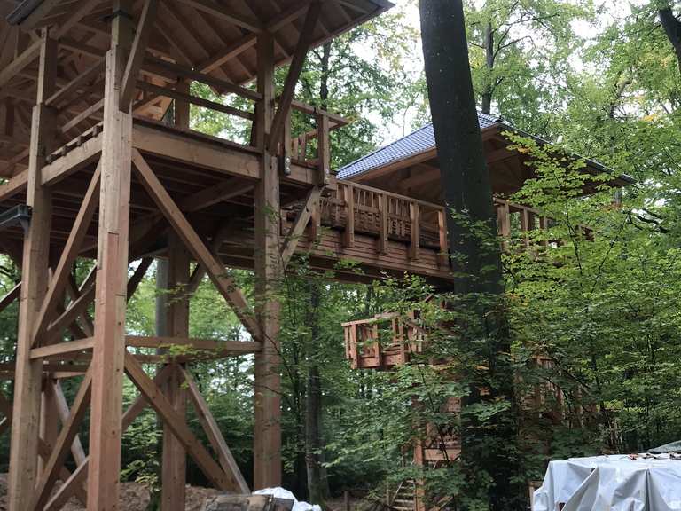 Bad Camberg treetop walk - Mountain Bike Trails & Tracks | Komoot