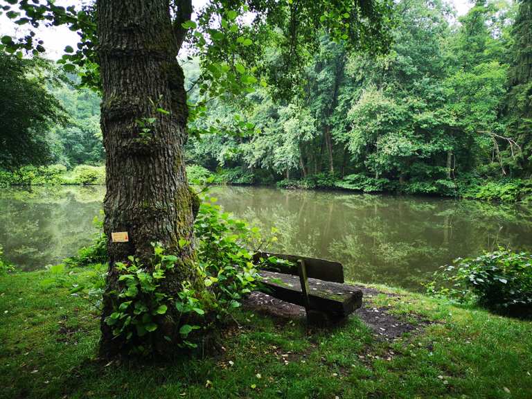 Inselsteich Routes for Walking and Hiking | Komoot