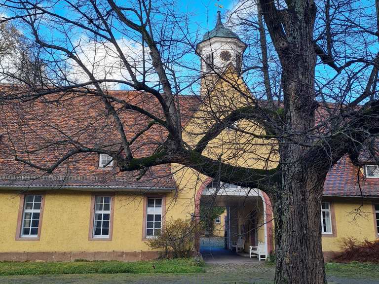 Schloss Bauschlott: Wanderungen und Rundwege | komoot