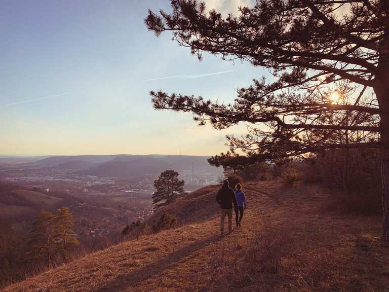 Ausicht vom Ziegenberg: Wanderungen und Rundwege | komoot