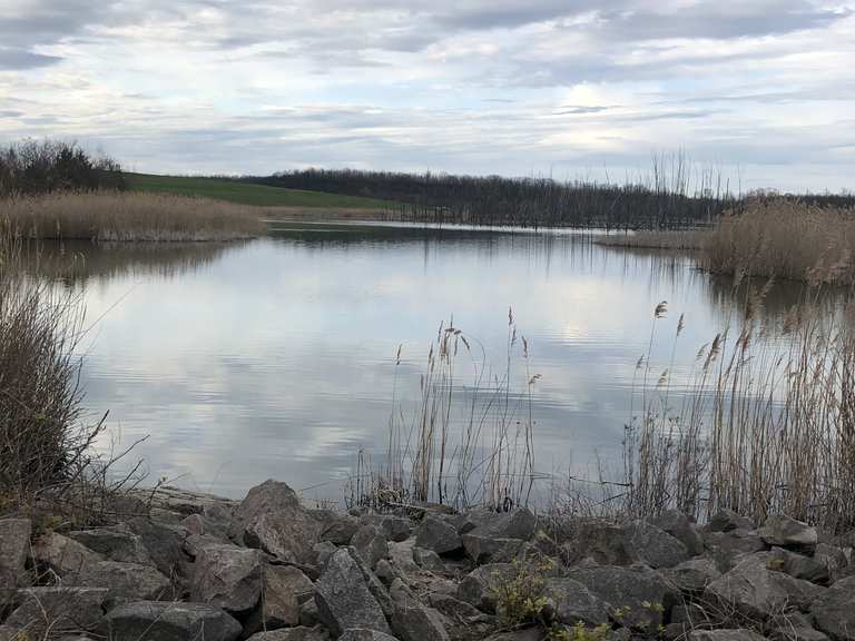 🌾Großer Goitzschesee 🌾 – Goitzsche Der See Loop from Bitterfeld | road ...