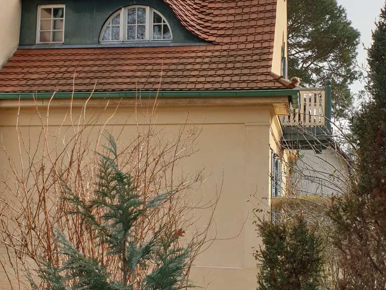 Casa Riehl (Ludwig Mies van der Rohe): Rutas de senderismo y caminatas ...