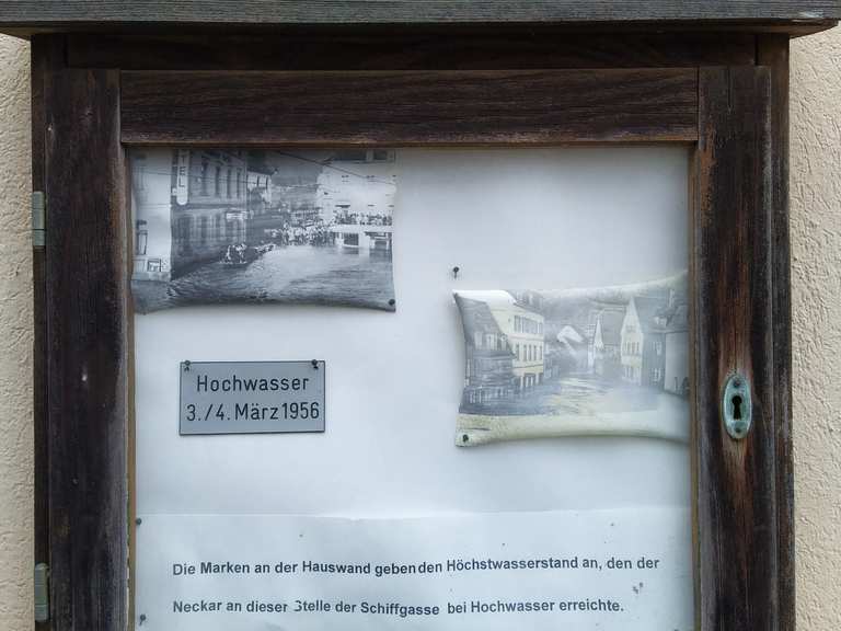 View of the Neckar and Historic Flood Markers – Hikes & How to Get ...