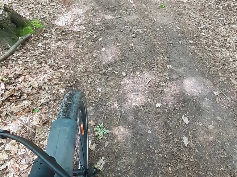 Kleiner Bikepark - Mountain Bike Trails & Tracks | Komoot