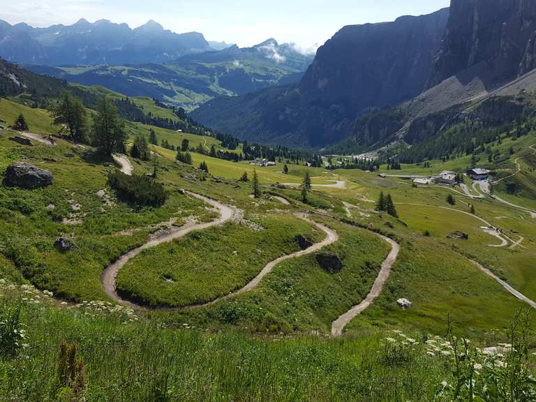 Snake Trail Dantercepies: Rutas MTB | Komoot