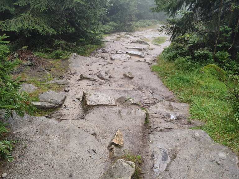 Goetheweg wandelroutes en hikes | Komoot