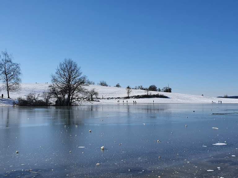 Eichener See: Wanderungen und Rundwege | komoot
