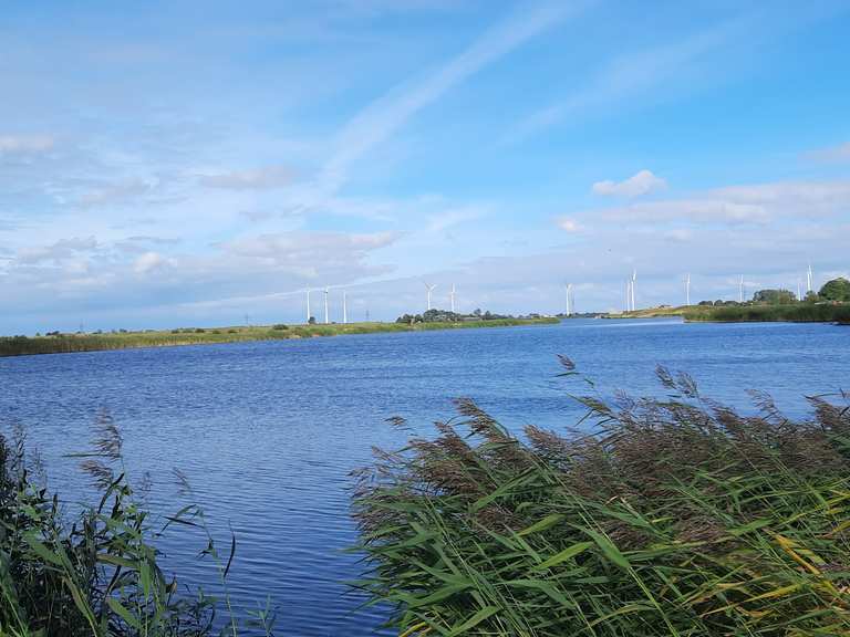 Wangermeer - Mountain Bike Trails & Tracks | Komoot