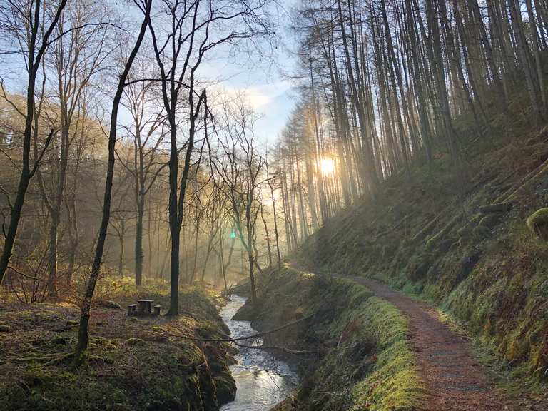Brechfa Forest Trail Centre - Mountain Bike Trails & Tracks | Komoot