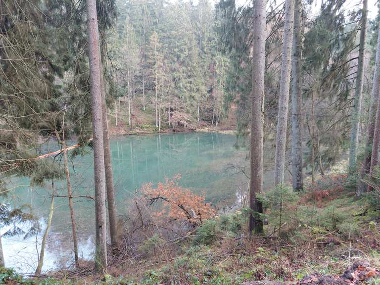 Aussicht auf Sengbachtalsperre – Sengbachtalsperre Runde von Burg ...