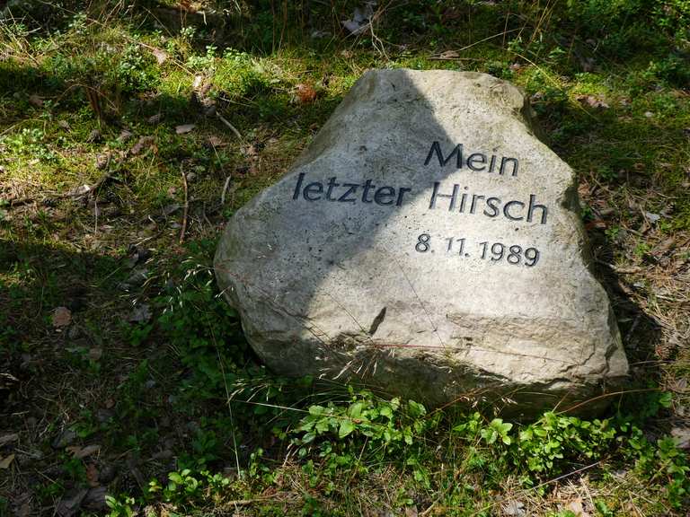 Jagdtrophäen-Denkmal für E. Honecker 'Mein letzter Hirsch': Wanderungen und Rundwege | komoot