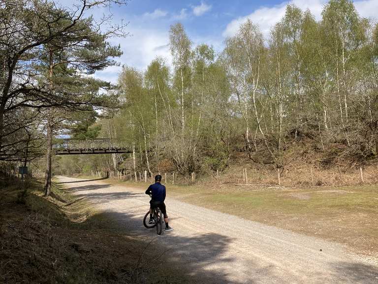 Longmoor Ranges: Mountainbike-Touren und -Trails | komoot