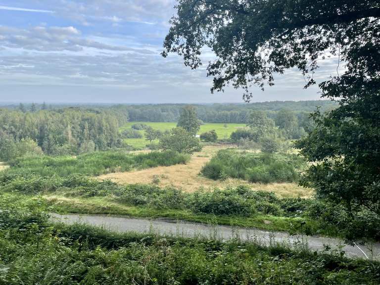 Koepel op de top van de Tankenberg: Wanderungen und Rundwege | komoot