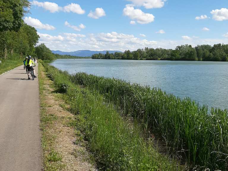 Rheinradweg : Radtouren und Radwege | komoot