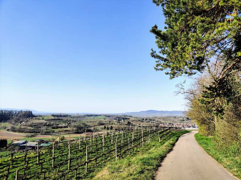 Panoramaweg Malterdingen – Wander- & Radrouten | Komoot