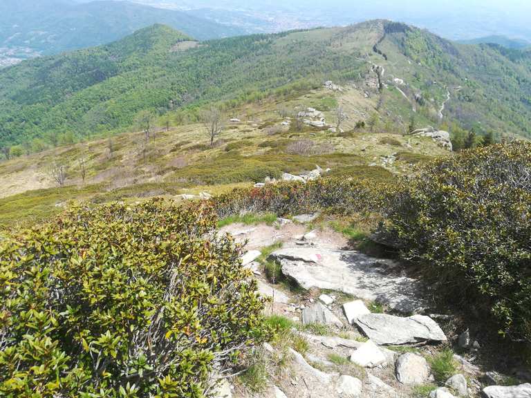 Ridge walk from Rifugio Vaccera to Monte Cialmetta (via Trail 150 ...