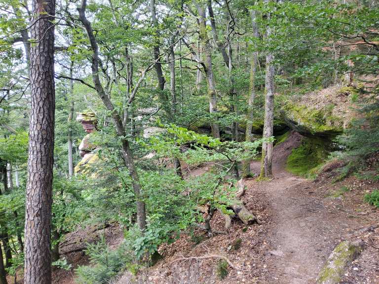 Grotte du Brotsch Routes for Walking and Hiking | Komoot