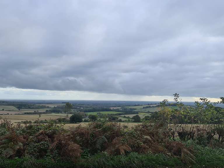 Chichester, Goodwood e a Centurion Way – South Downs National Park ...