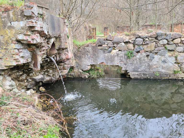 Alte Trepliner Mühlenruine Routes for Walking and Hiking | Komoot