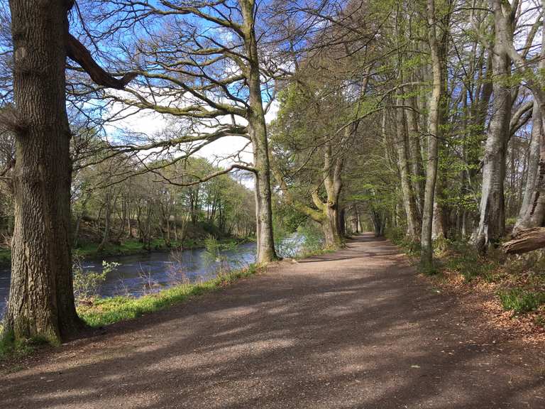 Lady Mary’s walk & Laggan Hill loop from Crieff | hike | Komoot