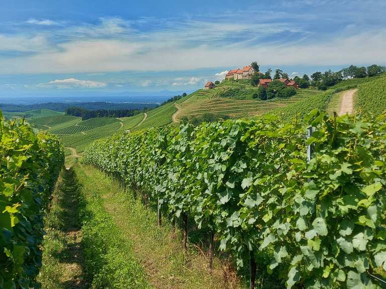 Rheintalblick – Schloss Staufenberg Runde von Hilsbach | Wanderung | Komoot