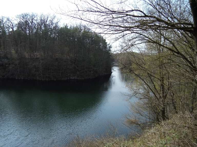 Vogelsberger See: Wanderungen und Rundwege | komoot