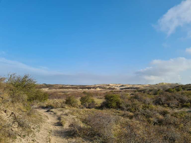 Hazenberg wandelroutes en hikes | Komoot