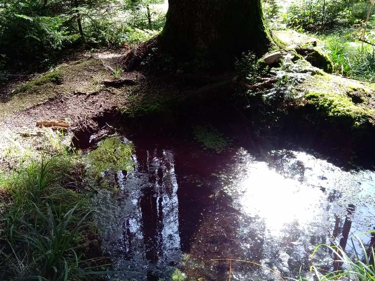 Bühlertalwanderweg 1. Etappe - von Abtsgmünd nach Pommertsweiler | hike ...