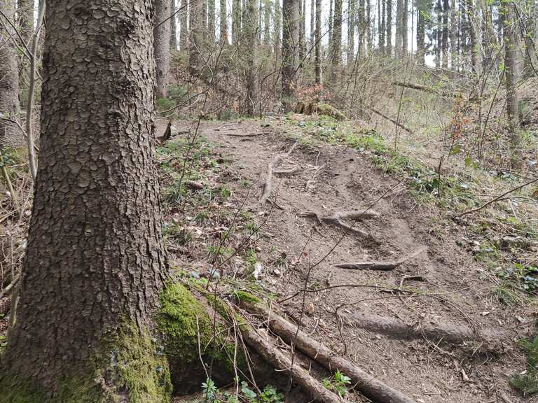 Illerberg Trails: Mountainbike-Touren | komoot