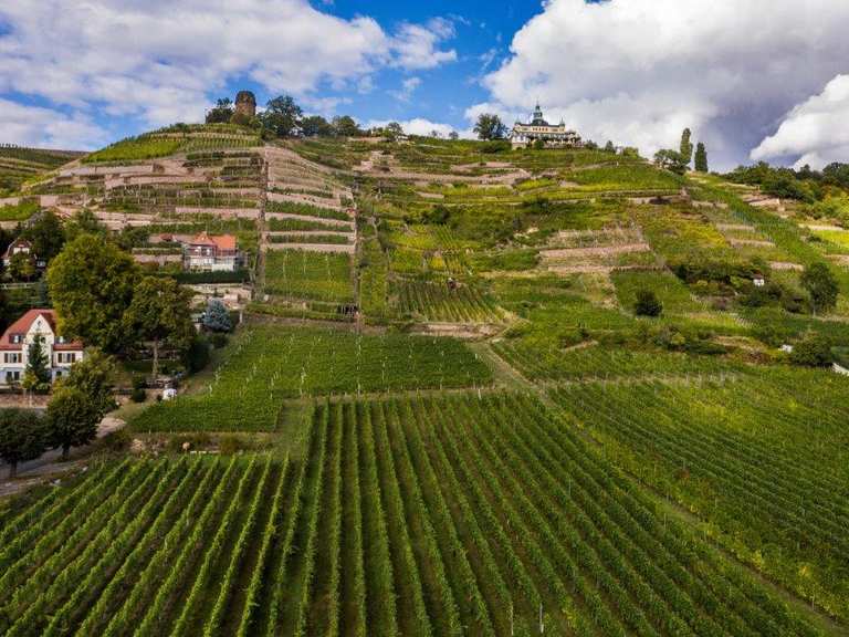 RebkulTour in Radebeul – hiking favourites in Dresden Elbland ...