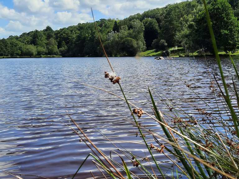 The tomb of Merlin and the lake of la Marette – loop | hike | Komoot