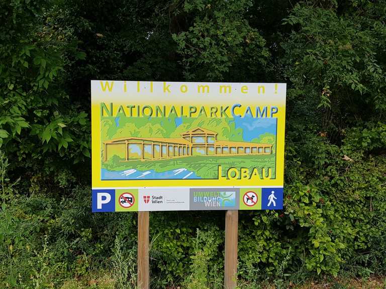 NationalparkCamp Lobau: Mountainbike-Touren und -Trails | komoot