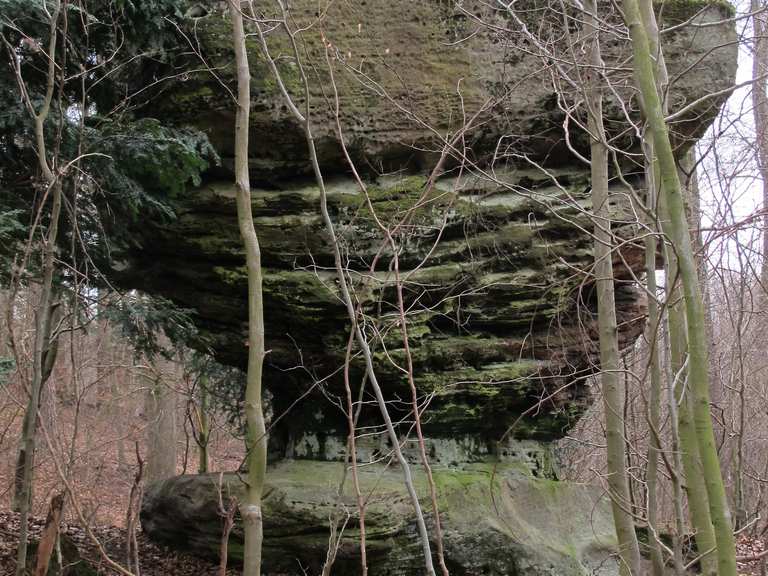 Taufstein: Wanderungen und Rundwege | komoot