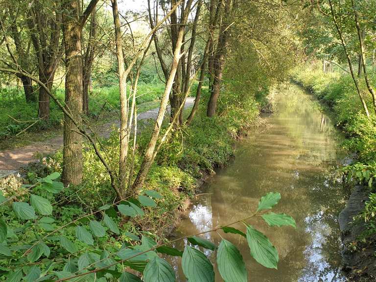 Marais de Fretin – Marais de Fretin boucle au départ de Baisieux | Tour ...