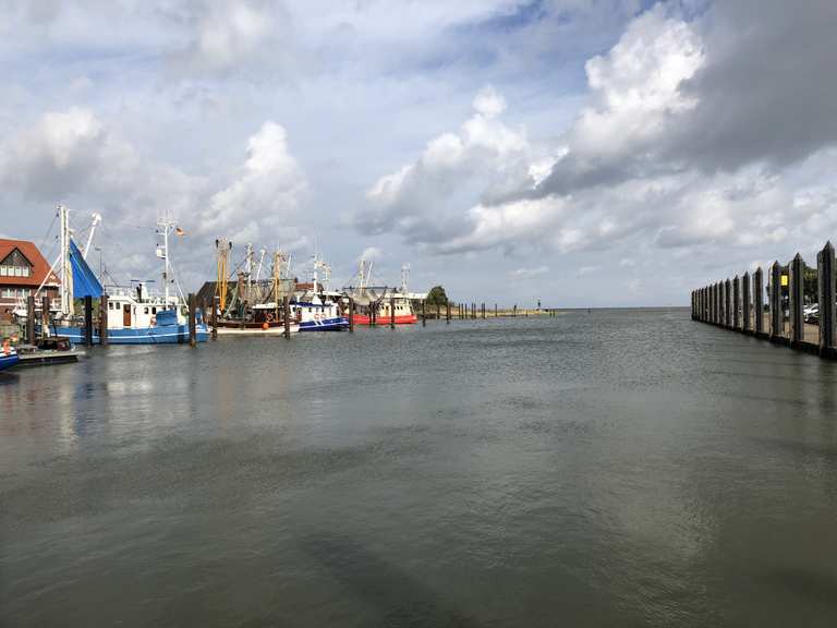 Hafen Fedderwardersiel : Radtouren und Radwege | komoot