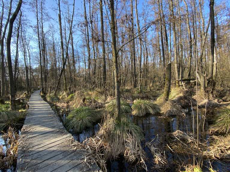 Steiger door het moeras wandelroutes en hikes | Komoot