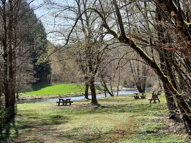Picnic Area by the Our River – Hikes & How to Get There | Komoot