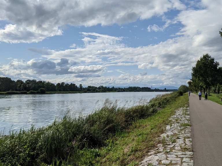 Le Rhin/Rhein; Wunderschöne Gegend - Cycle Routes and Map | Komoot