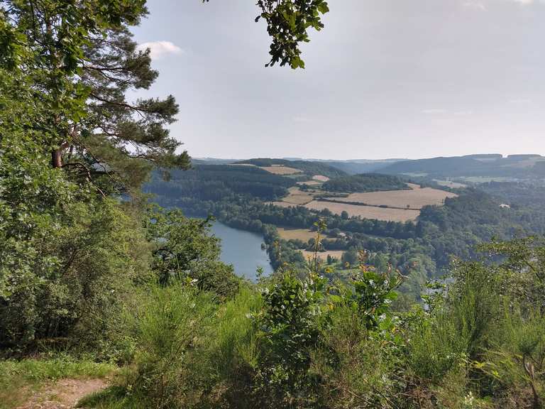 Obersauer Stausee: Wanderungen und Rundwege | komoot