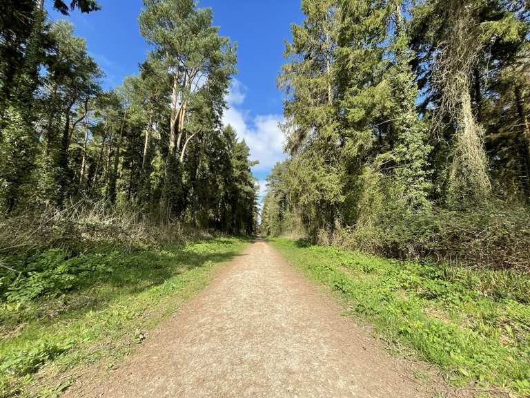 Thurlbear wood - gravel down into St Thomas - Road Cycle Routes and Map ...