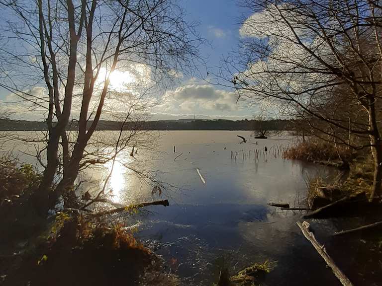 Blakemere Moss Routes for Walking and Hiking | Komoot