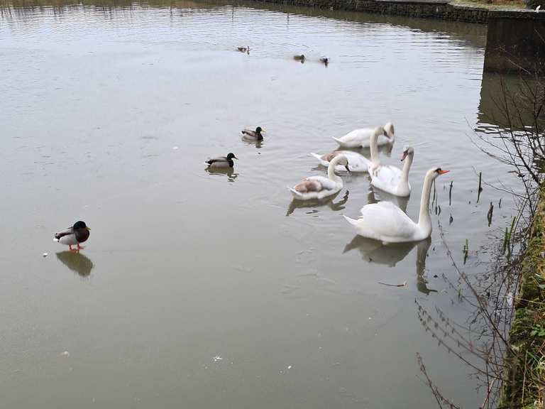 Loscoe Dam Routes for Walking and Hiking | Komoot