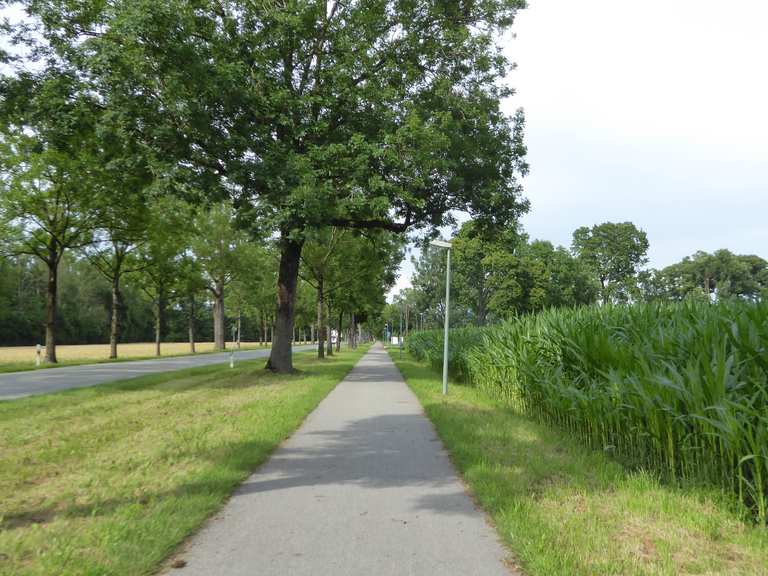 Radweg Ismaning-Fischerhäuser - Road Cycle Routes and Map | Komoot