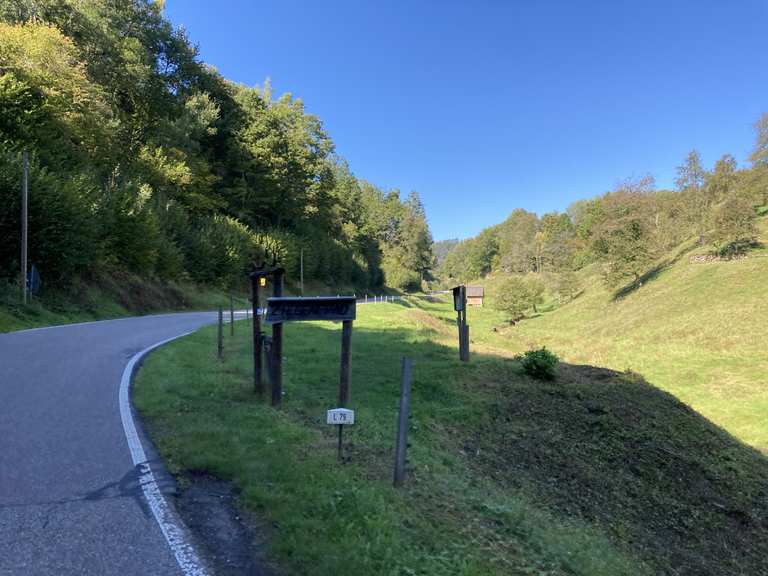 Forbach - Langenbrand via Bermersbach Itinéraires vélo et carte | Komoot
