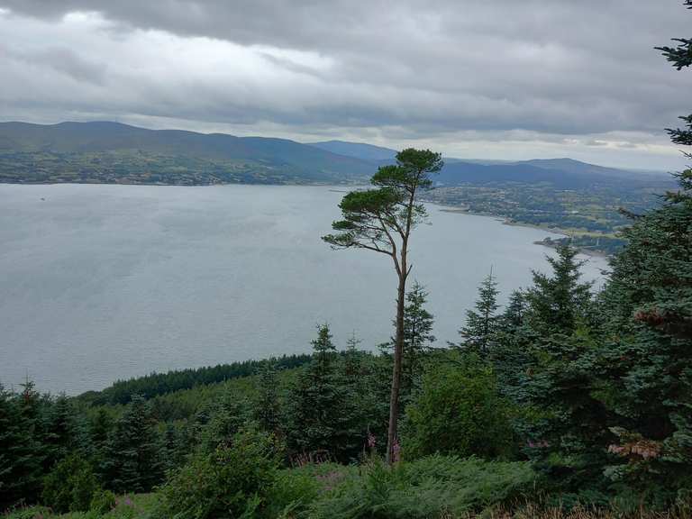 Kodak Corner Viewpoint Routes for Walking and Hiking | Komoot