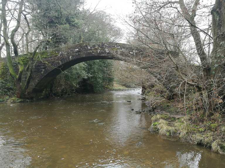 Lovely forest track – Dob Park Bridge loop from Timble | hike | Komoot