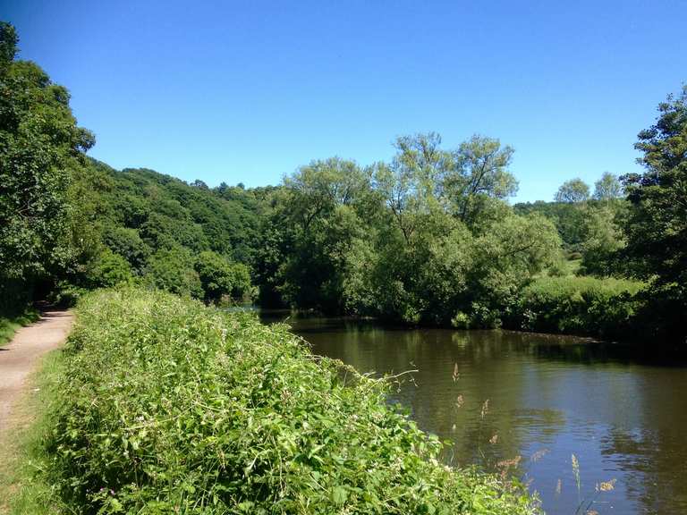 Conham River Park & the River Avon Trail loop from Keynsham | hike | Komoot