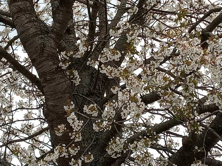 von Warthe nach Gandenitz: Radtouren und Radwege | komoot